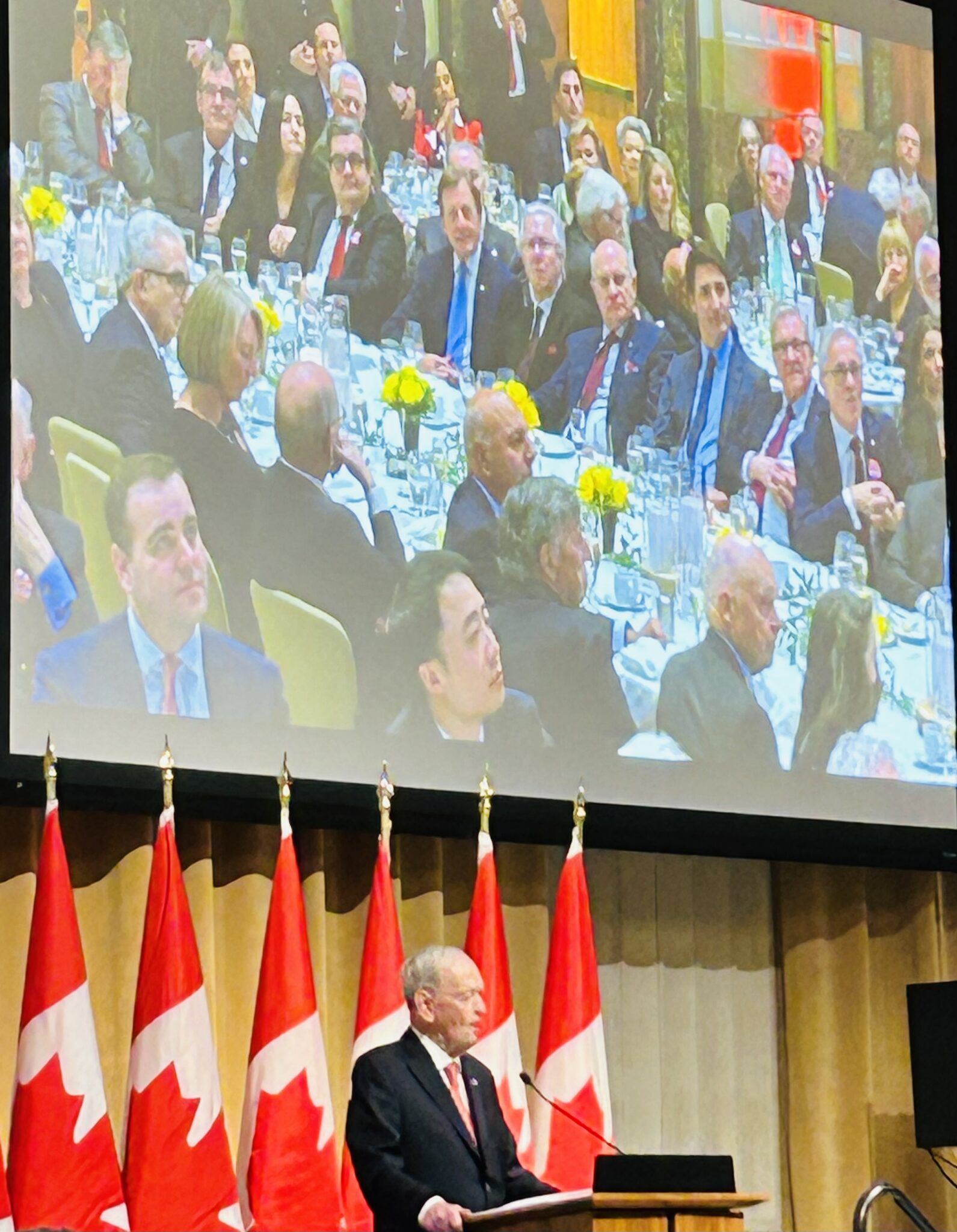 Petit gars : Warren Kinsella